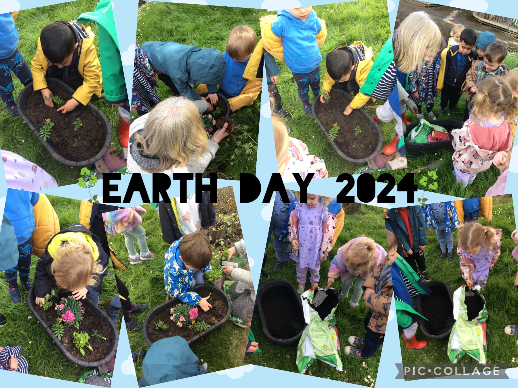Wellington Primary School & Nursery - Hedgehogs