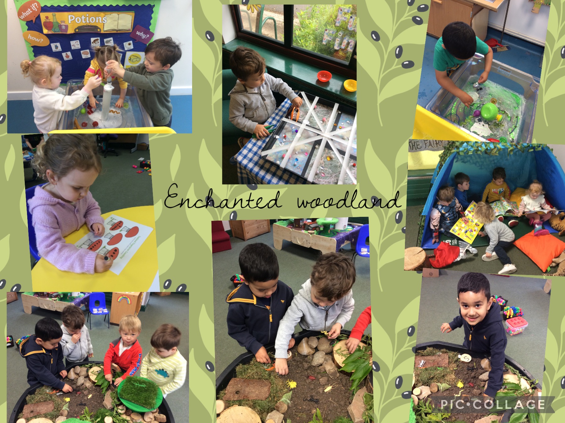 Wellington Primary School & Nursery - Hedgehogs